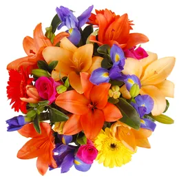 Colourtastic Flowers - Fast Flowers